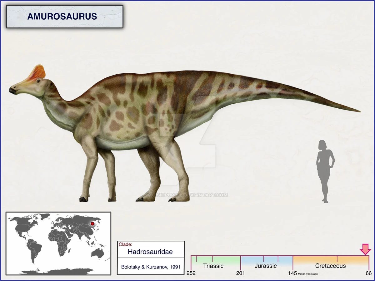 Amurosaurus | Dinopedia | Fandom