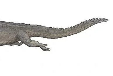 Stomatosuchus
