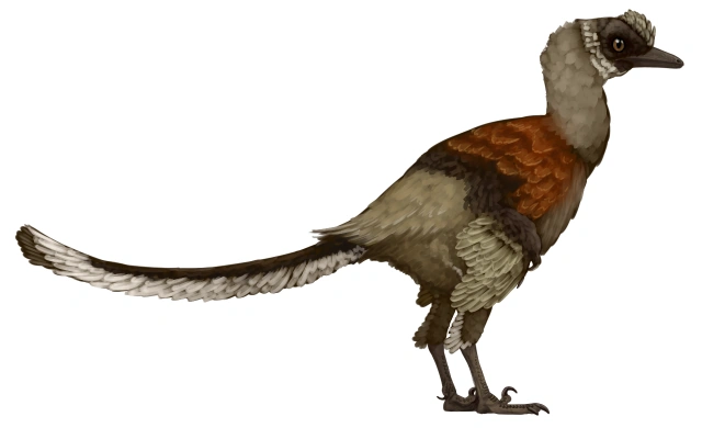 Almas | Dinopedia | Fandom