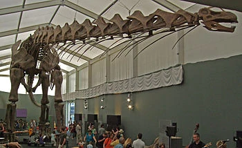 مقارنة حجم Supersaurus