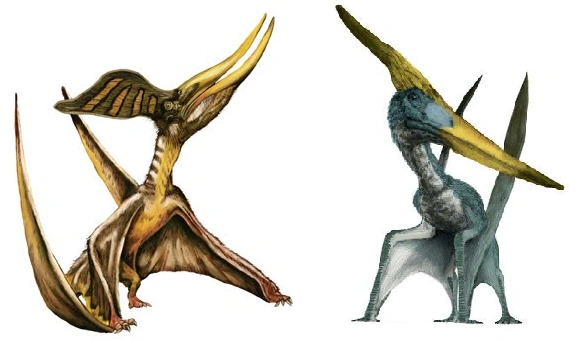 Pteranodon | Dinopedia | Fandom