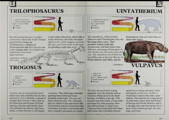 Vulpavus | Dinopedia | Fandom