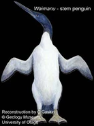 Waimanu | Dinopedia | Fandom