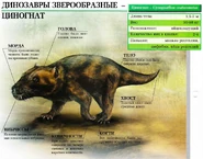 Cynognathus | Dinopedia | Fandom