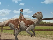 Hippodraco | Dinopedia | Fandom