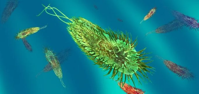 Rhyacian | Dinopedia | Fandom