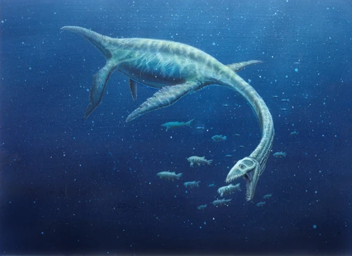 Woolungasaurus | Dinopedia | Fandom