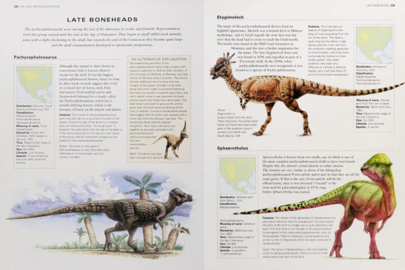 Sphaerotholus | Dinopedia | Fandom