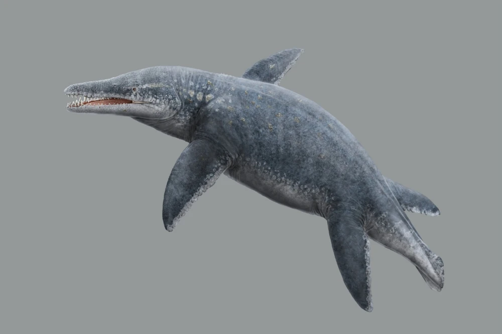 Kronosaurus | Dinopedia | Fandom