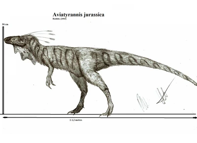Aviatyrannis | Dinopedia | Fandom