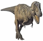 Tarbosaurus | Dinopedia | Fandom