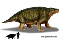 Pareiasauridae | Dinopedia | Fandom