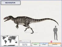 Neovenator | Dinopedia | Fandom