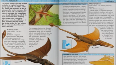 Discuss Everything About Dinopedia | Fandom