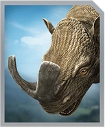 Megacerops | Dinopedia | Fandom