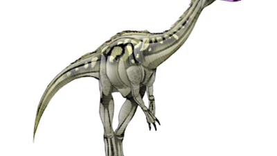 Discuss Everything About Dinopedia | Fandom