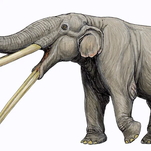 Discuss Everything About Dinopedia | Fandom