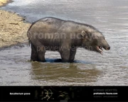 Barytherium | Dinopedia | Fandom