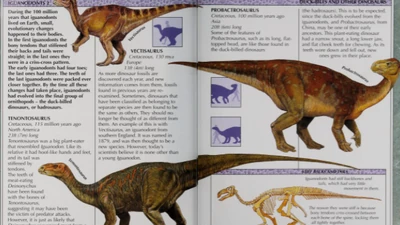 Discuss Everything About Dinopedia | Fandom