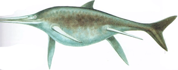 Shonisaurus | Dinopedia | Fandom