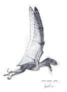 Anurognathus | Dinopedia | Fandom