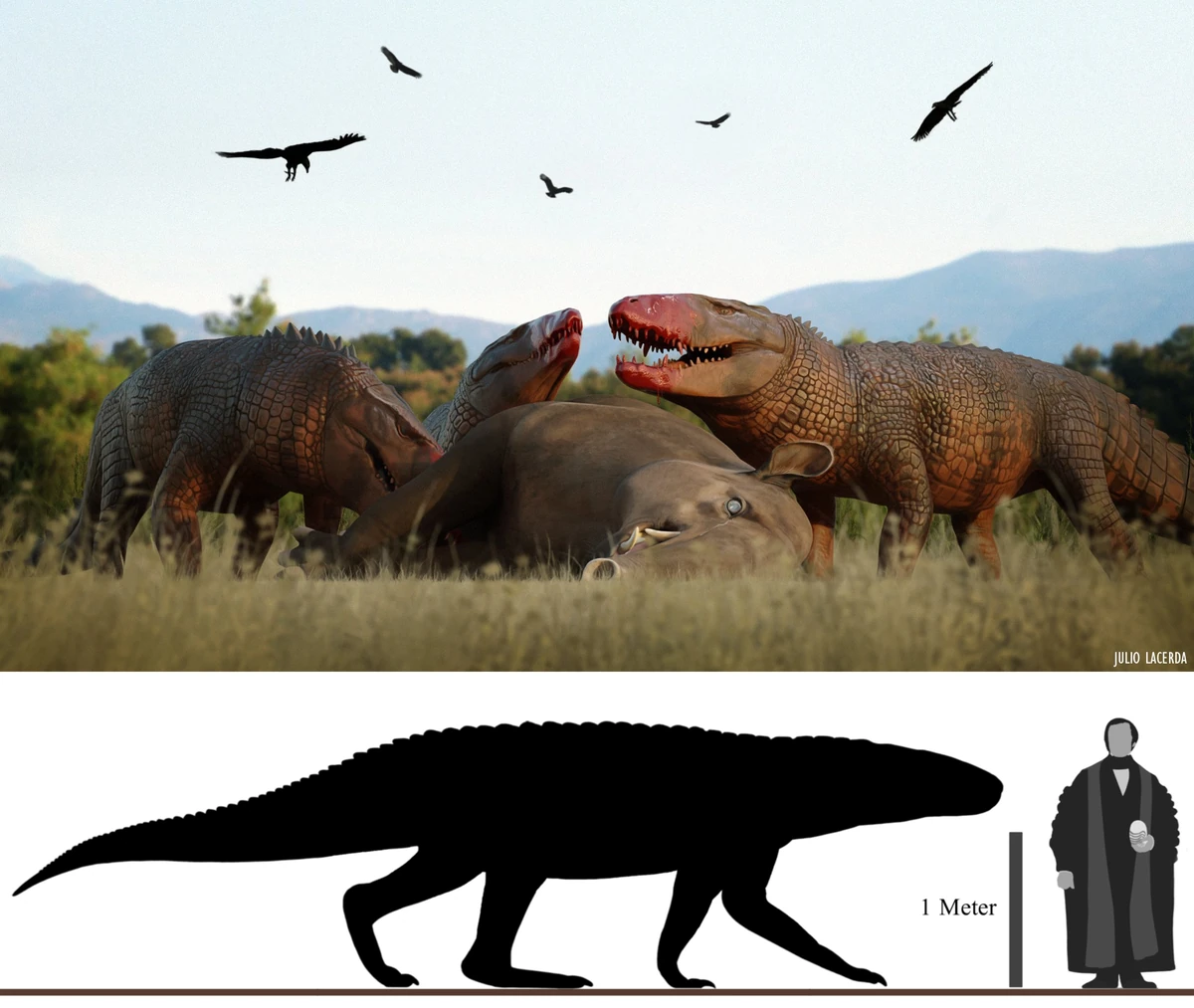 Barinasuchus | Dinopedia | Fandom