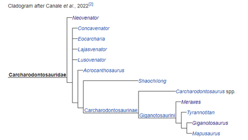 Carcharodontosaurus | Dinopedia | Fandom