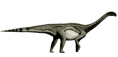 Macrurosaurus | Dinopedia | Fandom