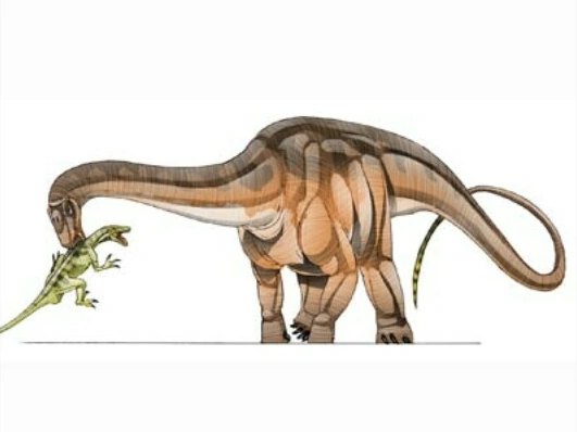 Magyarosaurus | Dinopedia | Fandom