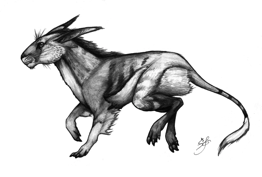 Protypotherium | Dinopedia | Fandom