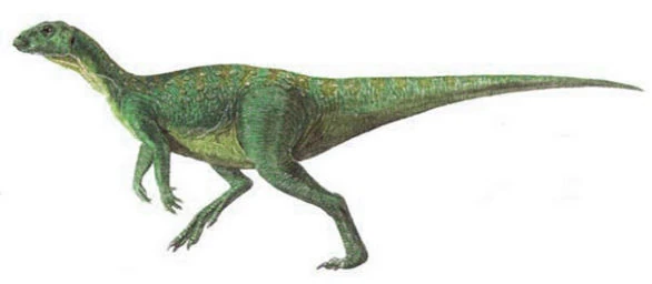 Phyllodon | Dinopedia | Fandom