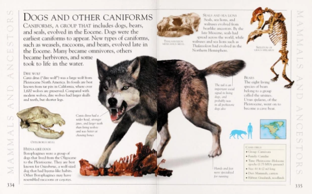 Thalassoleon | Dinopedia | Fandom