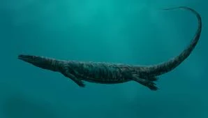 Opetiosaurus | Dinopedia | Fandom