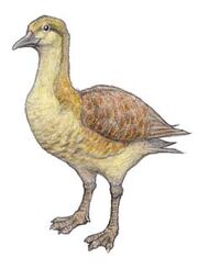 Vegavis | Dinopedia | Fandom
