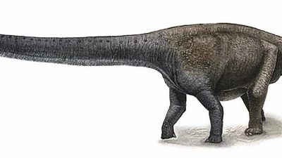 Discuss Everything About Dinopedia | Fandom
