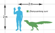 Zhenyuanlong | Dinopedia | Fandom