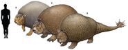 Doedicurus | Dinopedia | Fandom