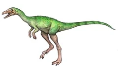 Compsognathus | Dinopedia | Fandom