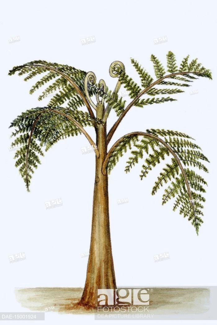 Megaphyton | Dinopedia | Fandom