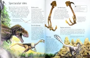 Nemicolopterus | Dinopedia | Fandom