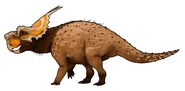 Achelousaurus | Dinopedia | Fandom