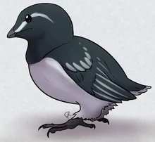 Ceramornis | Dinopedia | Fandom