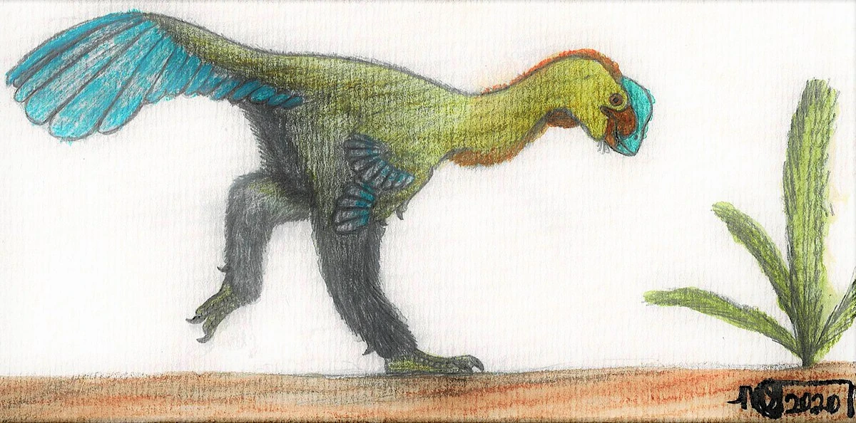 Citipes | Dinopedia | Fandom