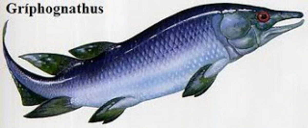 Griphognathus | Dinopedia | Fandom