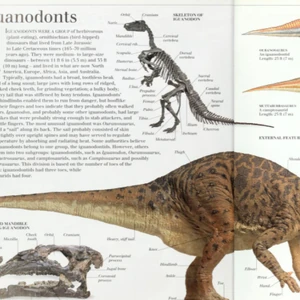 Discuss Everything About Dinopedia | Fandom