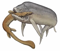 Xiphactinus | Dinopedia | Fandom