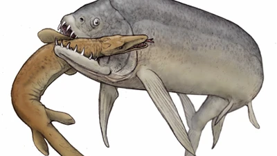 Discuss Everything About Dinopedia | Fandom