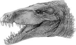 Sebecus | Dinopedia | Fandom