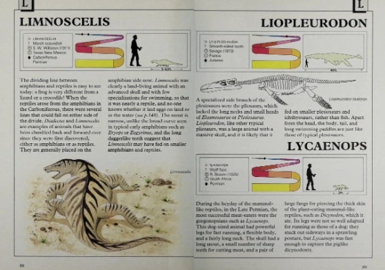 Discuss Everything About Dinopedia | Fandom