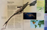 Baptornis | Dinopedia | Fandom